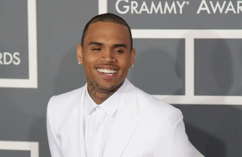 Chris Brown wins key ruling in $90M dog bite trial